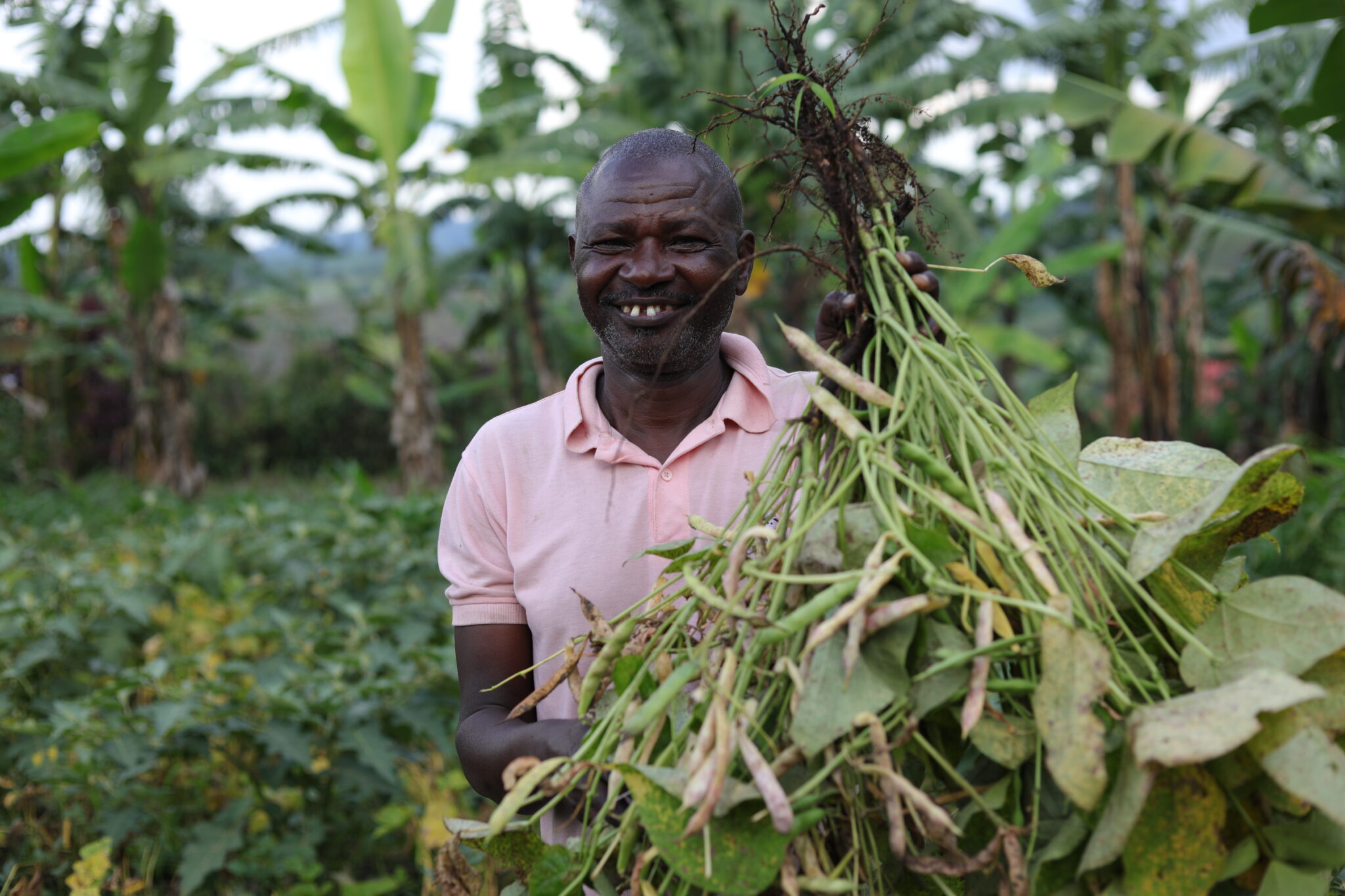 Home - The Microfinance Support Centre Ltd